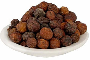NaturePlanet BAKAYAN PHAL - BAKAIN FAL - MELIA AZEDARACH Seed Price in ...