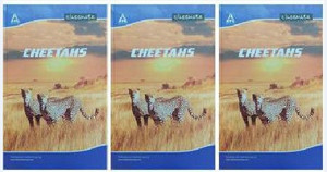 Classmate Regular Regular Notebook Unruled 400 Pages Price in India ...