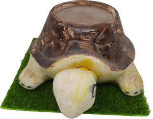 priya creations Tortoise Pots for Indoor Plants, Planters, Flower pots ...