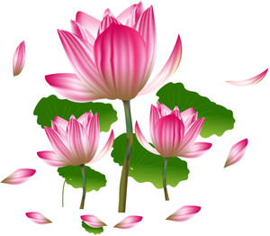 Sticker Hub 66 cm Beautiful 3D Lotus Flowers wall sticker for living ...
