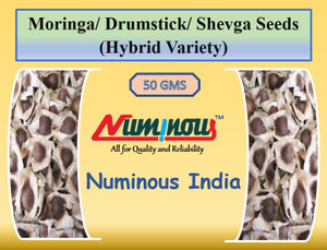 Numinous Moringa, Drumstick Seed Price in India - Buy Numinous Moringa ...