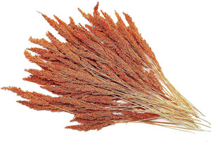 PRANSUNITA Colored Natural Dried Shyama Grass DÃ©cor â€“ Tall Stemmed ...