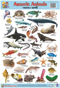 Water Animals Chart