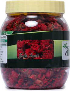 TRH Gule Anar - Anar Ka Phool - Punica Granatum - Pomegranate Flower ...