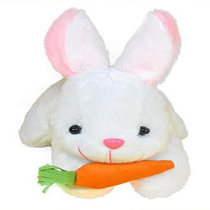 REVEXO Rabbit Soft toy for kids Playing Teddy Bearwh4 - 25 cm - Rabbit ...