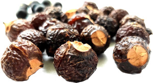 LYRS Reetha Seed Seed Price in India - Buy LYRS Reetha Seed Seed online ...