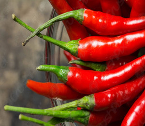 Wellspring CW35 CHILLI (MIRCH OR MIRCHI) SEED BEST QUALITY F1 HYBRID ...
