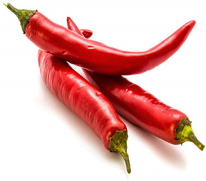 Wellspring CW8 CHILLI (MIRCH OR MIRCHI) SEED BEST QUALITY F1 HYBRID ...