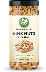 go vegan Pine Nuts Inshell - 100gm | Chilgoza With Shell Dry Fruit ...