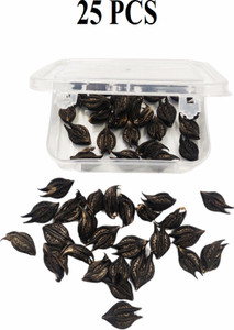 D'Mega Mart Bat head root vinchu devil pod Seed Price in India - Buy D ...