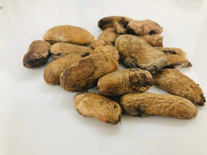 NaturePlanet AAM GUTHLI - MANGO SEED KERNEL - AAM GUTHALI - MANGIFERA ...