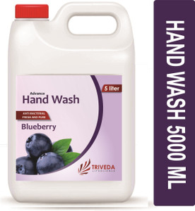 TRIVEDA LIFESCIENCE BLUEBERRY HAND WASH FIGHTS BACTERIA & VIRUSES (5 LT ...
