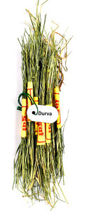 Rudra Centre Durva for Rahu and Ganpati Homam Price in India - Buy ...