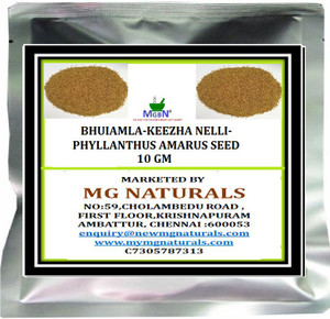 MGBN BHUIAMLA-KEEZHA NELLI-PHYLLANTHUS AMARUS SEED Seed Price in India ...