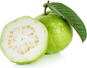 PLANTZON Guava Hybrid Seed Price in India - Buy PLANTZON Guava Hybrid ...