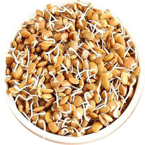 Sprouts Horse Gram Peeled Price in India - Buy Sprouts Horse Gram ...