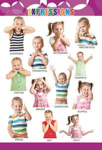 Expressions wall Charts - Extremely usefull for growing kids ...