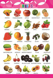 Fruits wall Charts - Extremely usefull for growing kids | Laminated ...