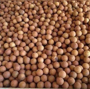 plantsworld White Sandalwood, Chandanam, Shweta Chandan, White Chandan ...