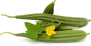 PLANTZON RidgeGourd/Turai Seed Price in India - Buy PLANTZON RidgeGourd ...
