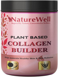 Naturewell Skin Booster Collagen powder with Vitamins in Orange Flavour ...