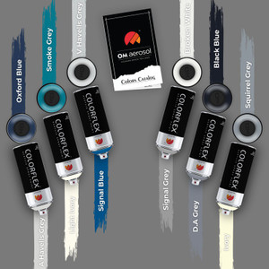 colorflex Multicolor Spray Paint 400 ml Price in India - Buy colorflex ...