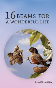 16 beams for a wonderful life: Buy 16 beams for a wonderful life by ...