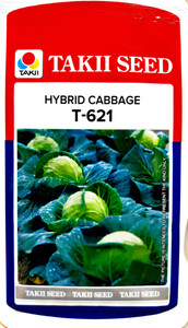 Takii Cabbage Seeds T621, Hybrid Seeds, Patta Gobi Seed Price in India ...