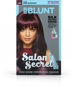 BBlunt Salon Secret High Shine Creme Hair Colour, 100g with Shine Tonic ...