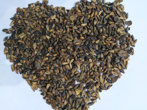 EasySeeds Anar,Pomegranate,Daalimbe,Madulai,Punica granatum Seed Price ...