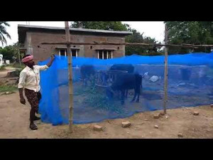 buyagain Animal Mosquito Net 20x15 Ft - Cow Shed Machardani | Mosquito ...