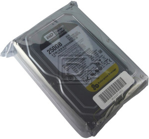 Western Digtal RE4 250 GB Desktop Internal Hard Disk Drive (HDD) (RE4 ...