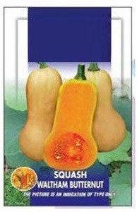 ActrovaX Squash Zucchini Waltham Butternut Exotic [5gm Seeds] Seed ...