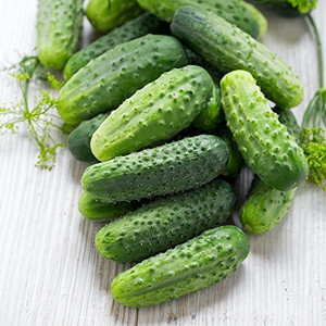 WILLVINE Hybrid Khira Cucumber Seed Summer Vegetable Seeds Seed Price ...