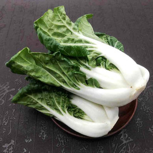 CYBEXIS Pak Choi Seeds-100 Seeds Seed Price in India - Buy CYBEXIS Pak ...