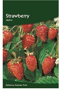 CYBEXIS Strawberry Alpine Seeds-50 Seeds Seed Price in India - Buy ...