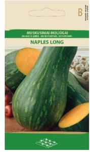CYBEXIS Pumpkin Naples Long Seeds200 Seeds Seed Price in India - Buy ...