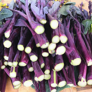 TRICONE Cabbage Broccoli Raab Seed Price in India - Buy TRICONE Cabbage ...