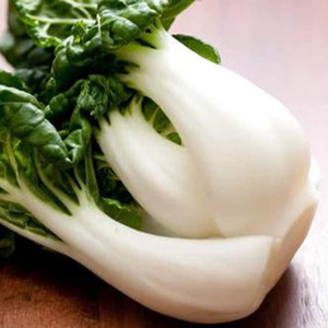 CYBEXIS Dwarf Pak Choi Crop Seeds2000 Seeds Seed Price in India - Buy ...