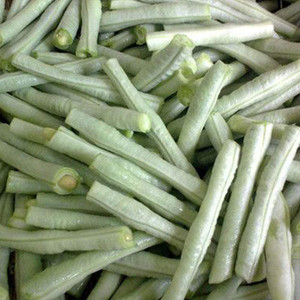CYBEXIS Organic White Long Bean Seeds 200 Seeds Seed Price in India ...