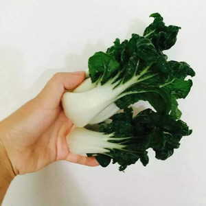 CYBEXIS Pak Choi Crop Seeds400 Seeds Seed Price in India - Buy CYBEXIS ...