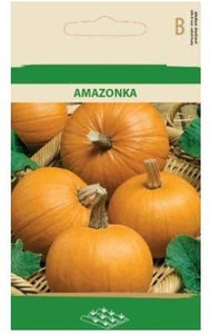 CYBEXIS Pumpkin AMAZONKA Seeds-50 Seeds Seed Price in India - Buy ...