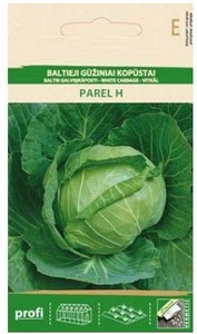 CYBEXIS Cabbage White Parel H, Early, Round Seeds-250 Seeds Seed Price ...