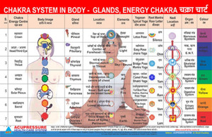 Chakra System Chart - Glands , Energy Paper Print - Educational posters ...