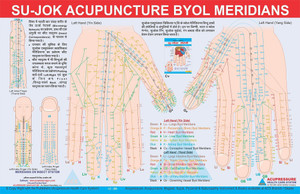Sujok Acupuncture - Byol Meridian Chart Paper Print - Educational ...