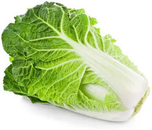 Paudha Chinese Cabbage Seed Price in India - Buy Paudha Chinese Cabbage ...