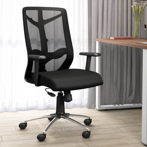 Durian Nature Medium Back Nylon Office Executive Chair Price in India ...