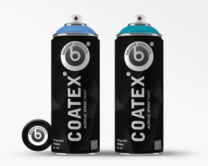 COATEX Kangaroo Blue & Smoke Grey Spray Paint 800 ml Price in India ...