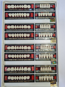 pyrax Dental Acrylic Teeth Kit Sets Shade Of Teeth A2 Dental Elevator ...