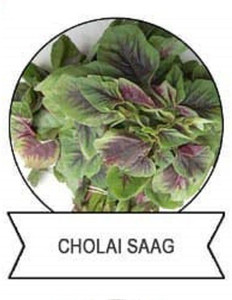 CYBEXIS F1 Hybrid Cholai Saag Seeds1000 Seeds Seed Price in India - Buy ...